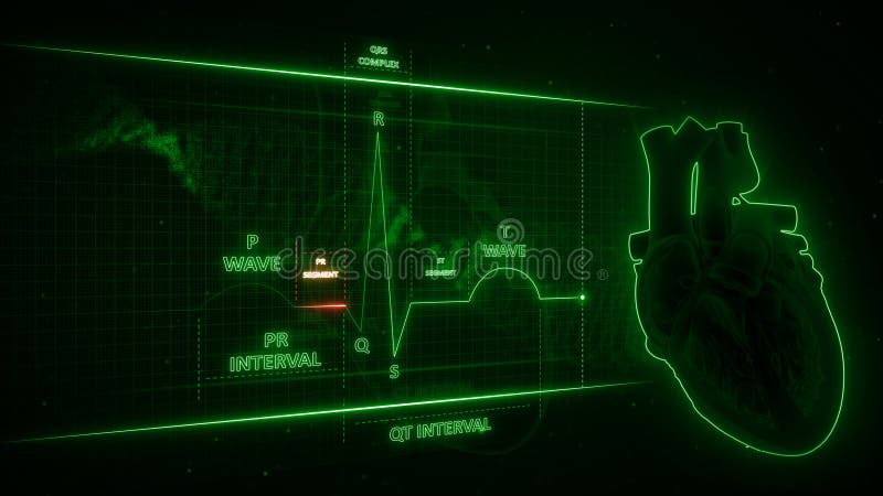 PR Segment from Electrocardiogram Wave or ECG or EKG Stock Illustration ...