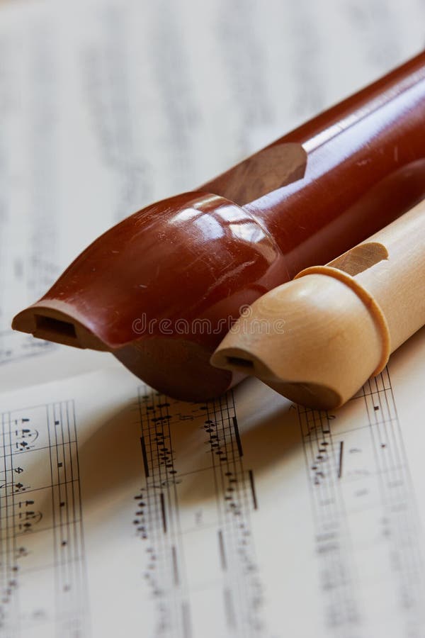 Recorder, flute stock image. Image of tooth, battered - 43776253