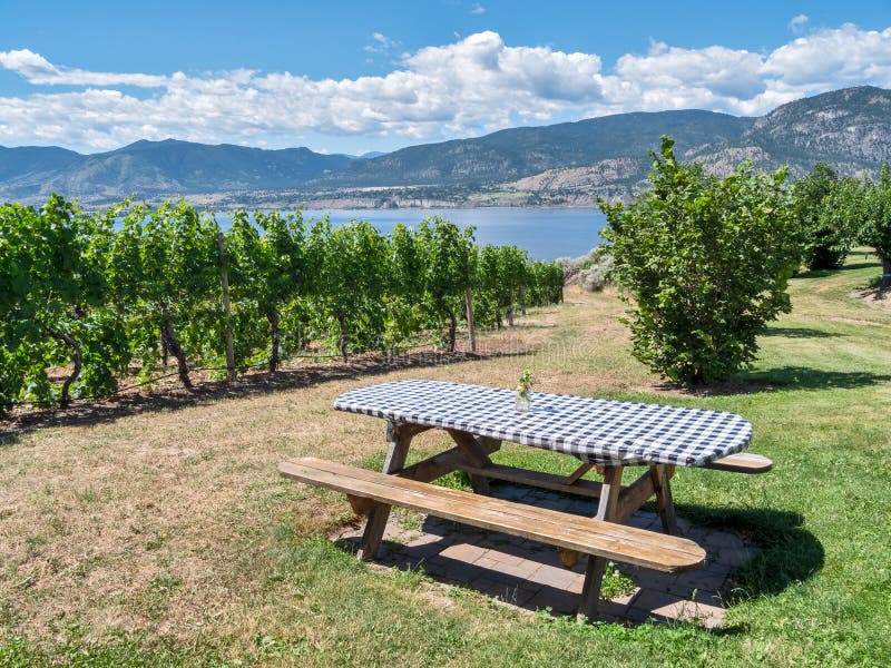 Recreation Area with Beautiful Overview of a Lake and Mountains Stock ...