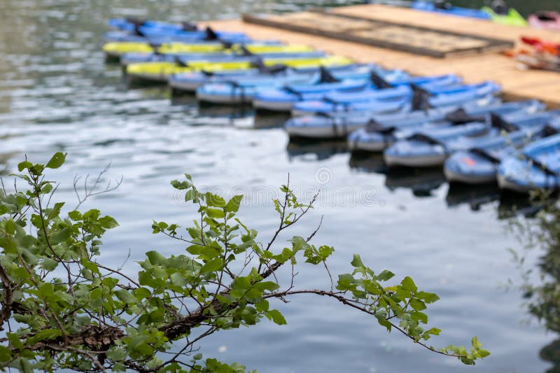 Recreational Sport on the Canyon with the Background Blurred and the ...
