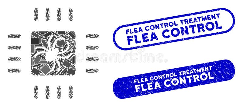 Rectangle Collage Processor Bug with Scratched Flea Control Treatment ...