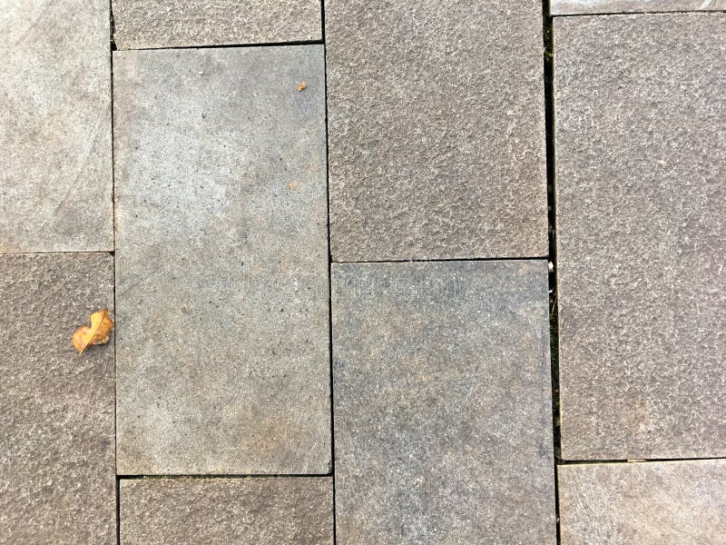 Yellow Tiny Leaf Falls Onto Rectangle Concrete, Blank Space for Adding ...
