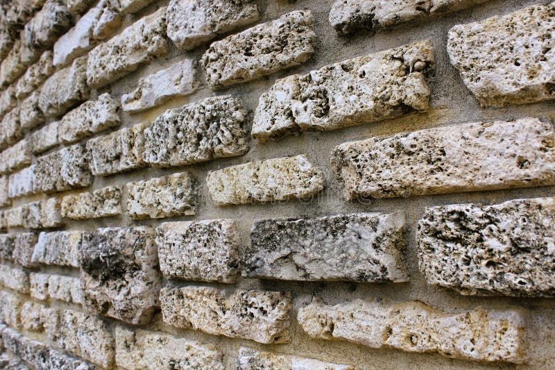 Dead Coral from the Coral Sea Stock Image - Image of ocean, dead: 189730077