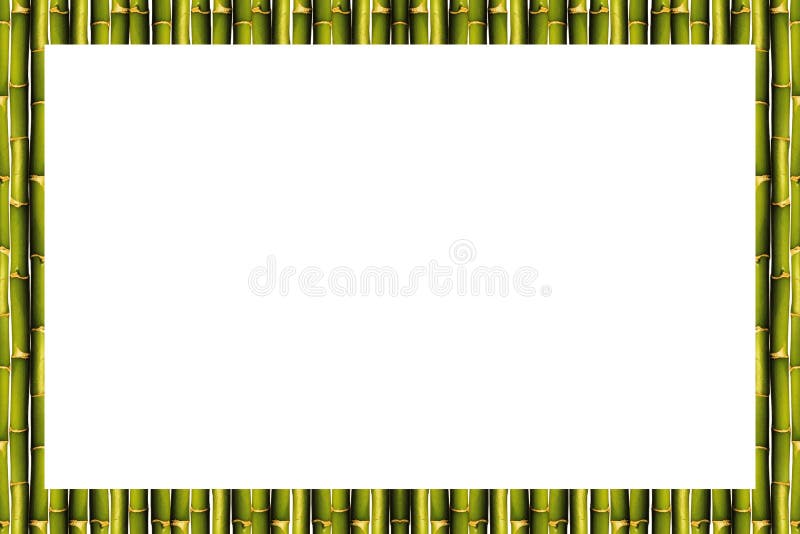 Rectangle Empty Green Bamboo Frame, Isolated on White Background Stock ...