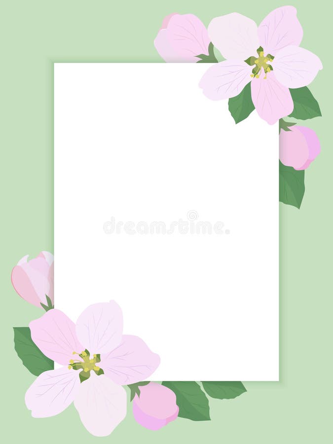 Rectangle Frame with Apple Blossoms and Green Leaves Stock Vector ...