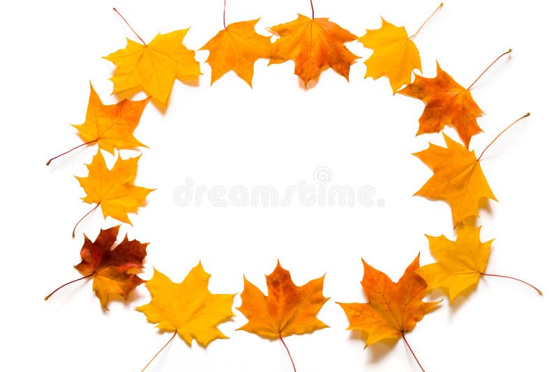 Autumn Frame of Maple Leaves Isolated on White Background Stock Image ...