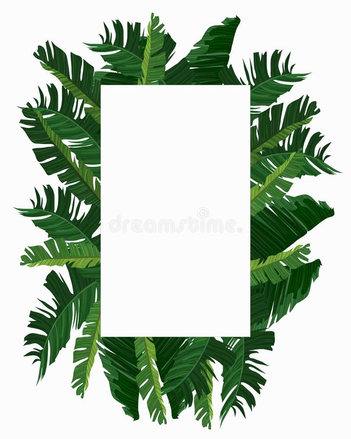 Rectangle Frame with Banana Leaves Stock Vector - Illustration of ...