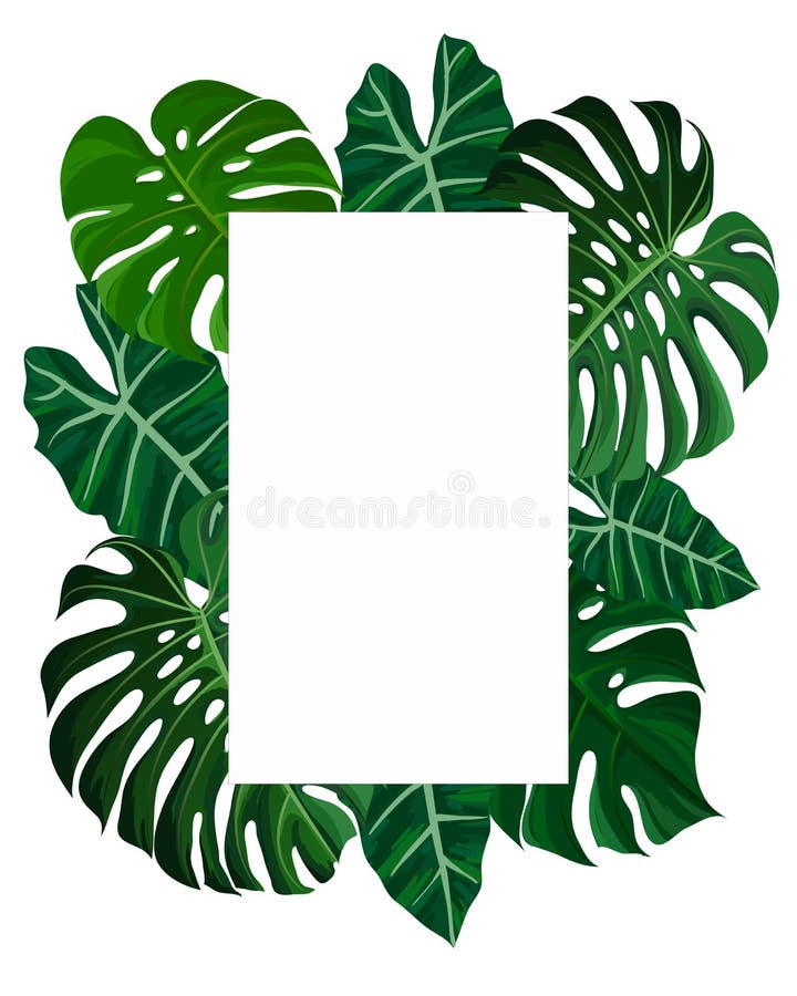 Rectangle Frame with Tropical Leaves Stock Vector - Illustration of ...