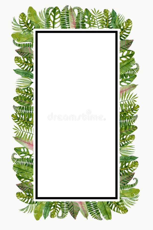 Rectangle Frame with Tropical Leaves Stock Image - Image of blank ...