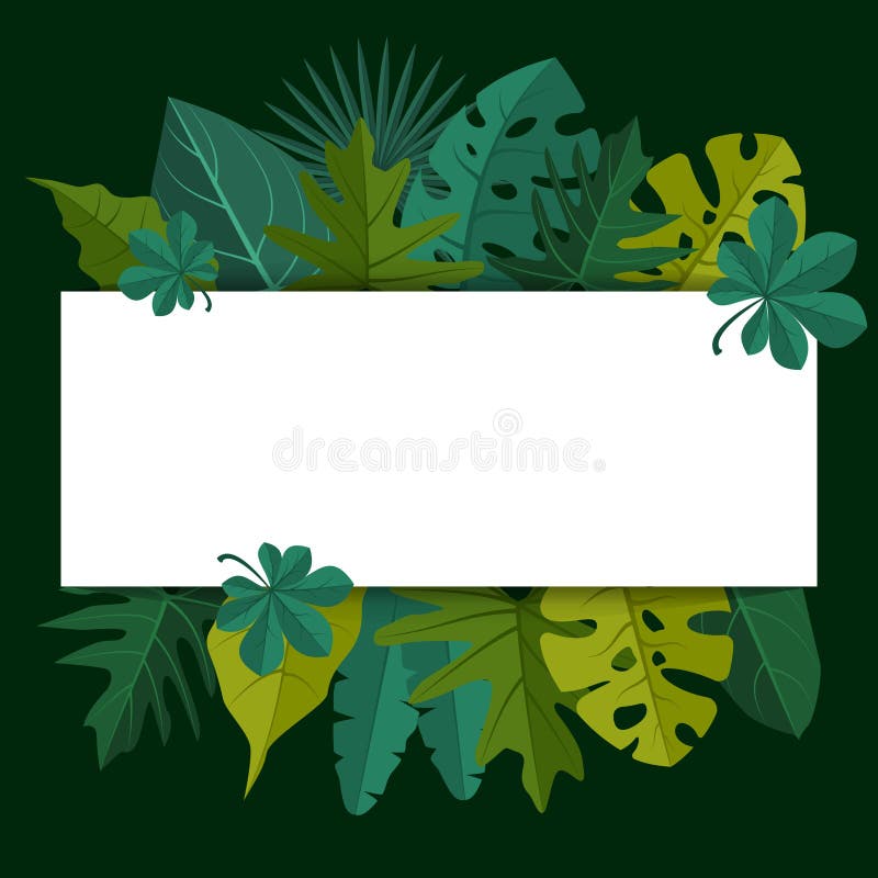 Rectangle Green Tropical Plant Summer Leaf Border Frame Background ...