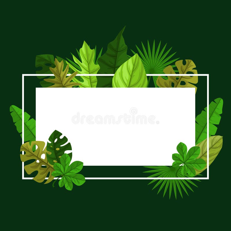 Rectangle Green Tropical Plant Summer Leaf Border Frame Background ...