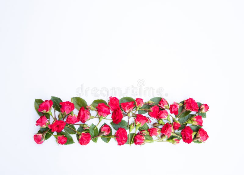 A Rectangle Made of Twigs of Red Roses and Its Leaves in the Lower Part ...