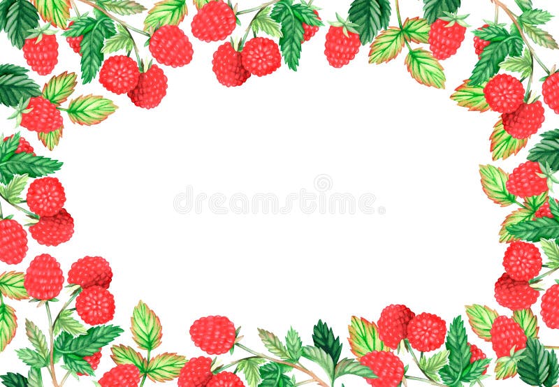 Raspberry. Frame with Raspberry Branches with Berries and Leaves ...