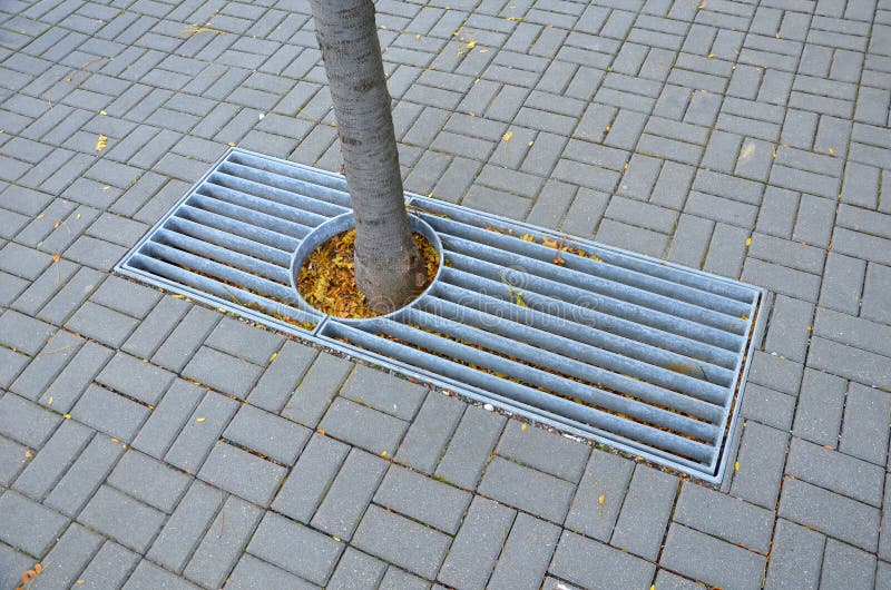 Rectangle-shaped Lattice, with a Circular Hole for a Tree Trunk that is ...