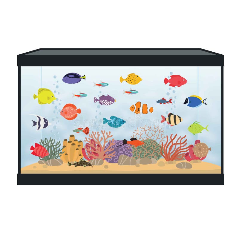 Rectangular Fish Tank Clip Art
