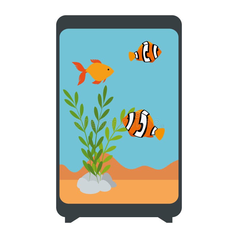Aquarium Without Fish Clipart