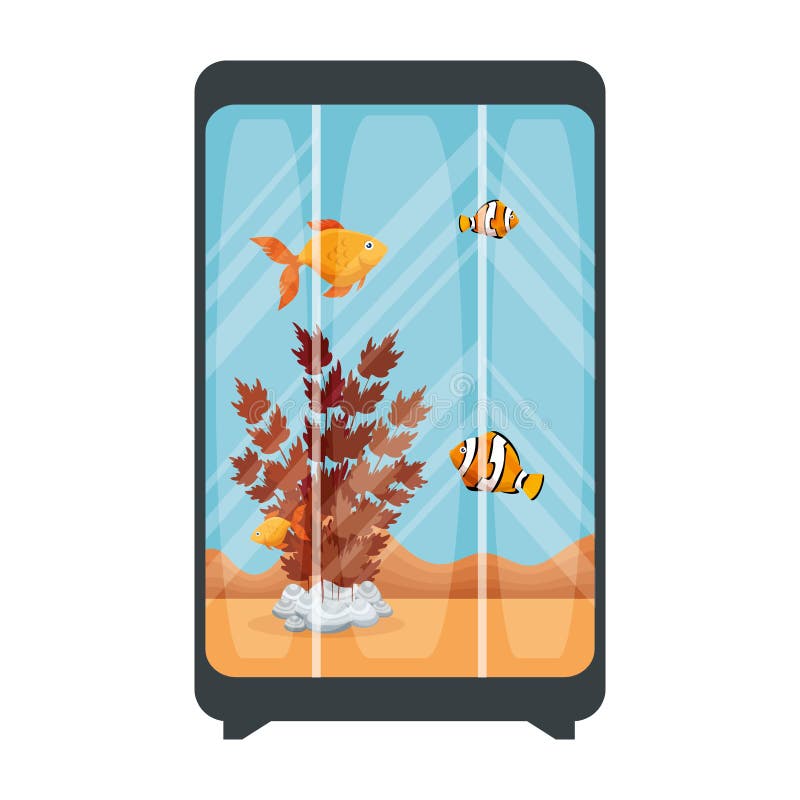 Rectangular Fish Tank Stock Illustrations – 86 Rectangular Fish Tank ...