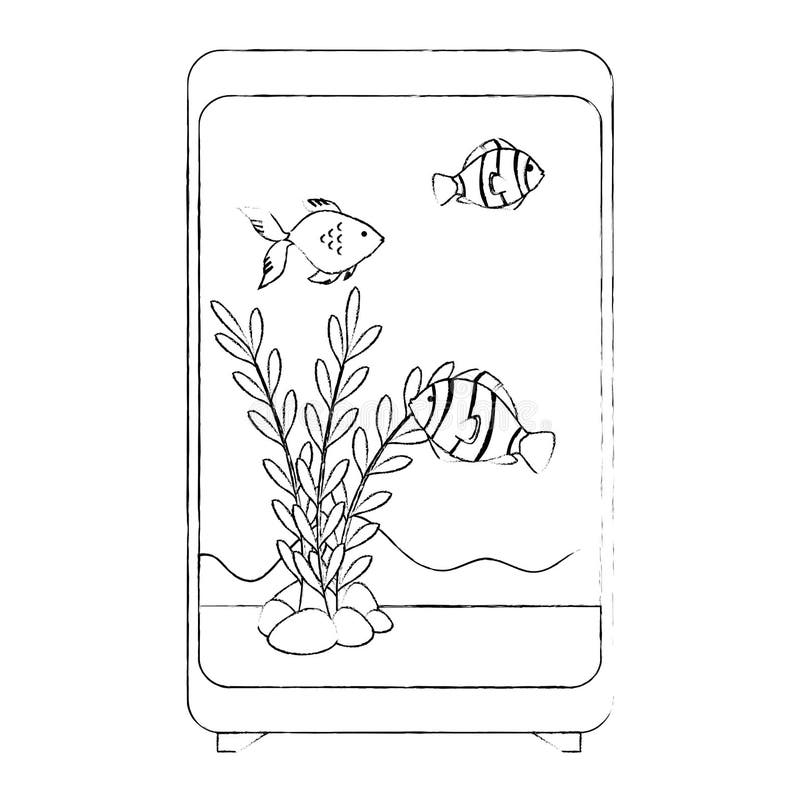 Rectangular Aquarium. Aquarium with Algae. Vector Illustration Stock ...