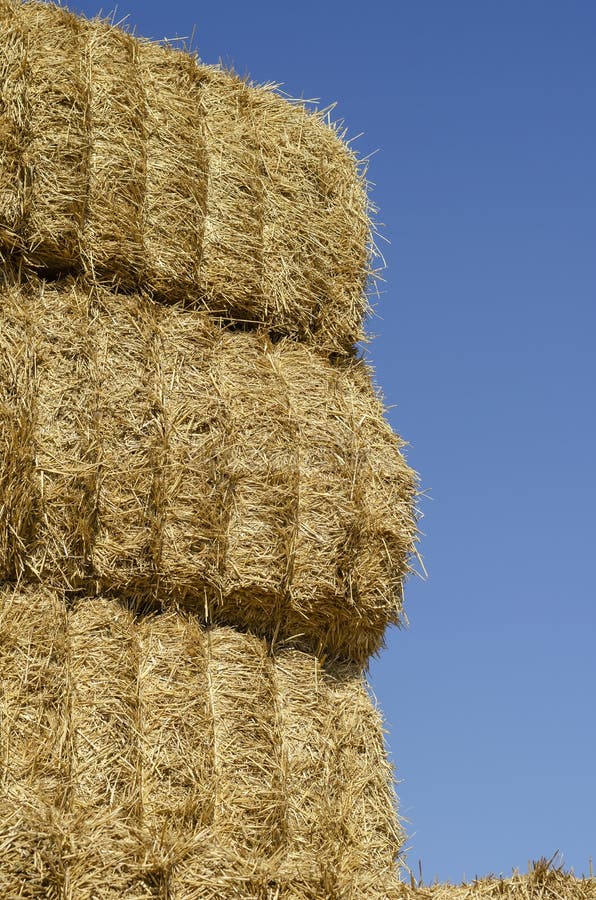 Old Rectangular Hay Bales Stored in Front of Abandoned Farm Building ...