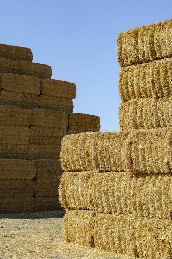 Old Rectangular Hay Bales Stored in Front of Abandoned Farm Building ...