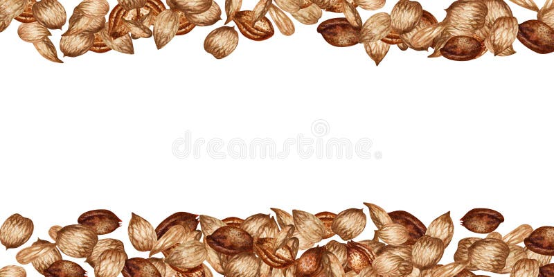 Rectangular Border of Apricot Kernels and Seeds. Watercolor ...