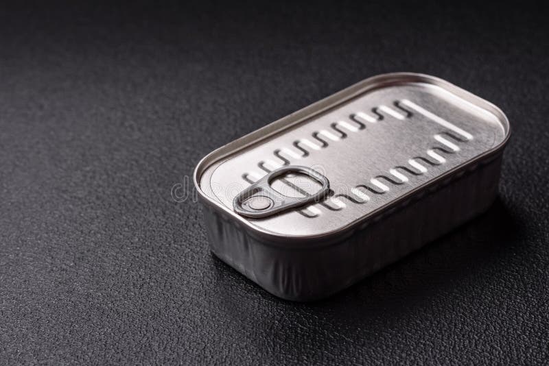 Rectangular Can of Fish in Oil with Salt and Spices Stock Image - Image ...
