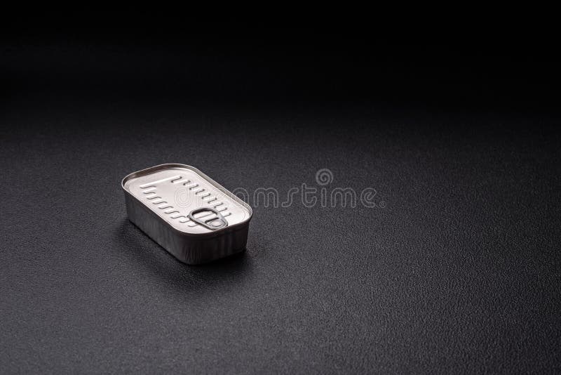 Rectangular Can of Fish in Oil with Salt and Spices Stock Photo - Image ...