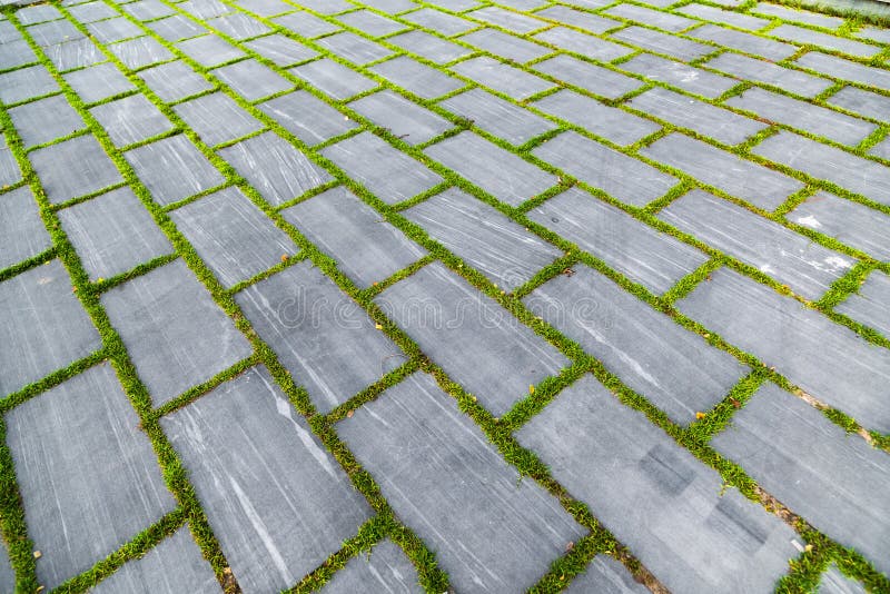 Rectangular Concrete Pavement Stock Image - Image of city, park: 105600547