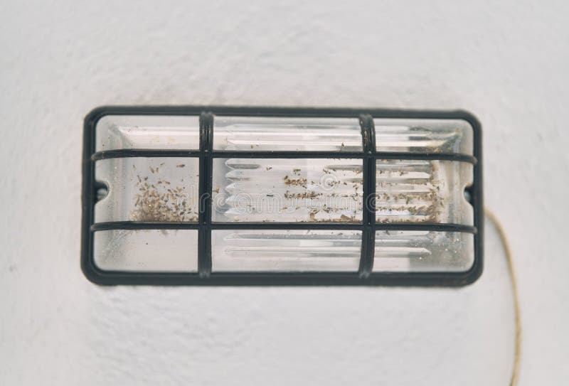 Rectangular Electric Lamp on the Ceiling Stock Illustration ...