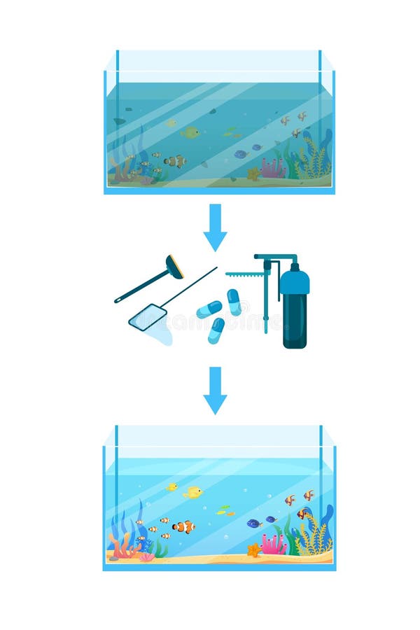 Rectangular Fish Tank Stock Illustrations – 206 Rectangular Fish Tank ...