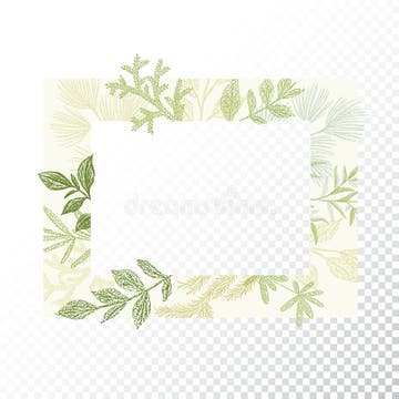 Rectangular Leaf Border Transparent Background Stock Illustrations – 47 ...