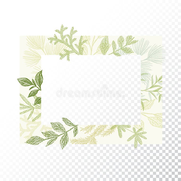 Rectangular Leaf Border Transparent Background Stock Illustrations – 47 ...