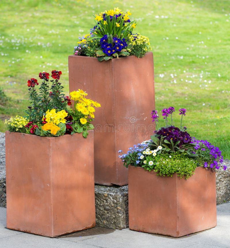 Rectangular Flower Pot in a Park Stock Image - Image of blossom, pansy ...
