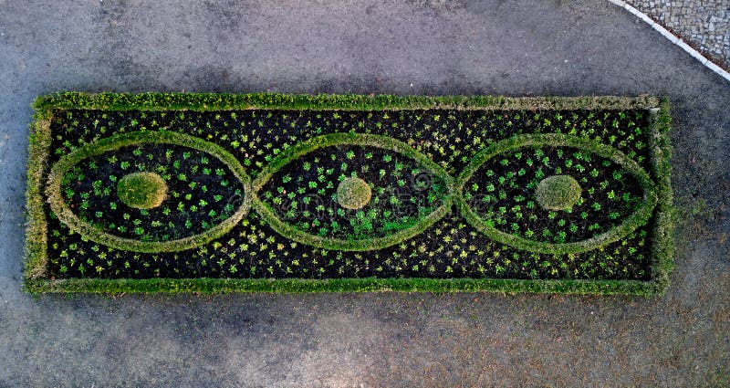 A Rectangular Flowerbed Bordered and Divided by a Boxwood Hedge and ...