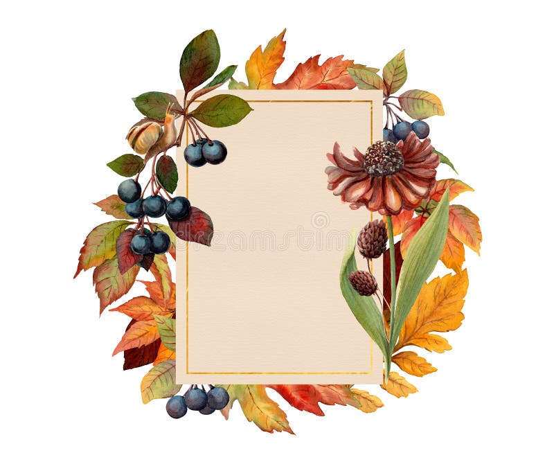 Rectangular Frame with Autumn Watercolor Leaf and Berry. Hand Drawn ...
