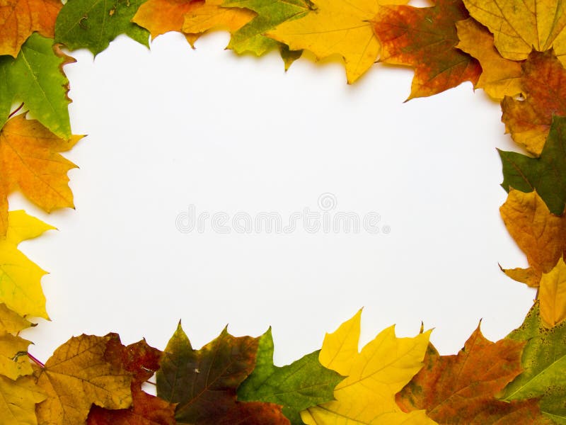 Rectangular Frame from Autumnal Leaves Stock Image - Image of framework ...
