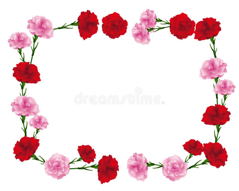 Rectangular Frame of Carnations Illustration Stock Vector ...