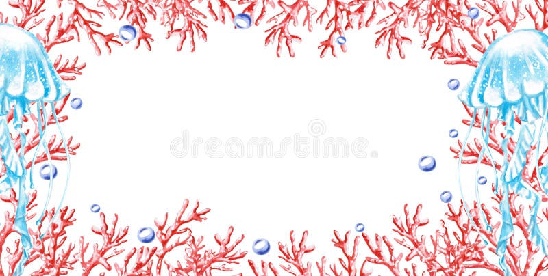Rectangular Frame with Corals and Jellyfish. Isolated Illustration on ...