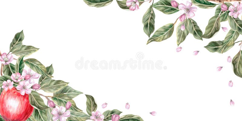 Rectangular Frame with Corner Patterns of Apples and Branches. Isolated ...