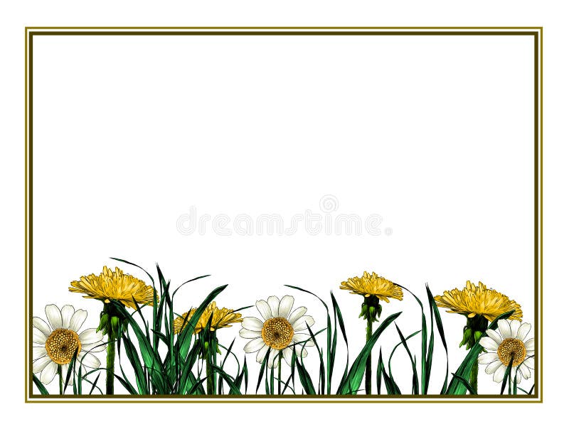 Rectangular Frame Decorated with Grass and Flowers of Chamomile and ...