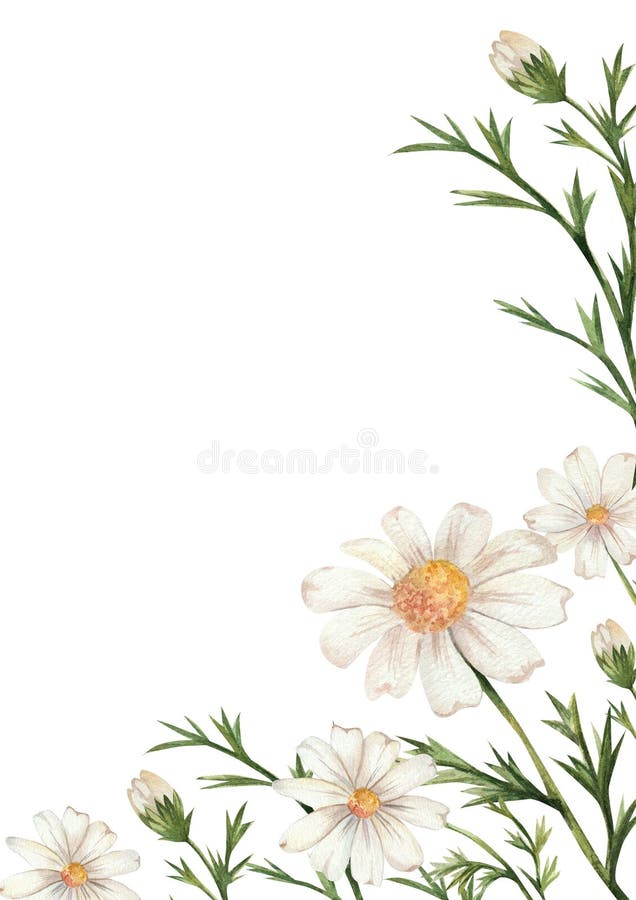 Rectangular Frame with Delicate White Daisy Flowers and Green Leaves ...