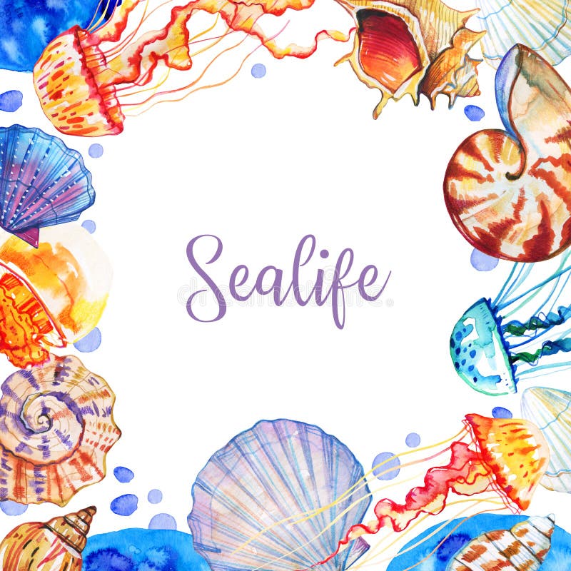 Rectangular Sea Frame Stock Illustrations – 272 Rectangular Sea Frame ...