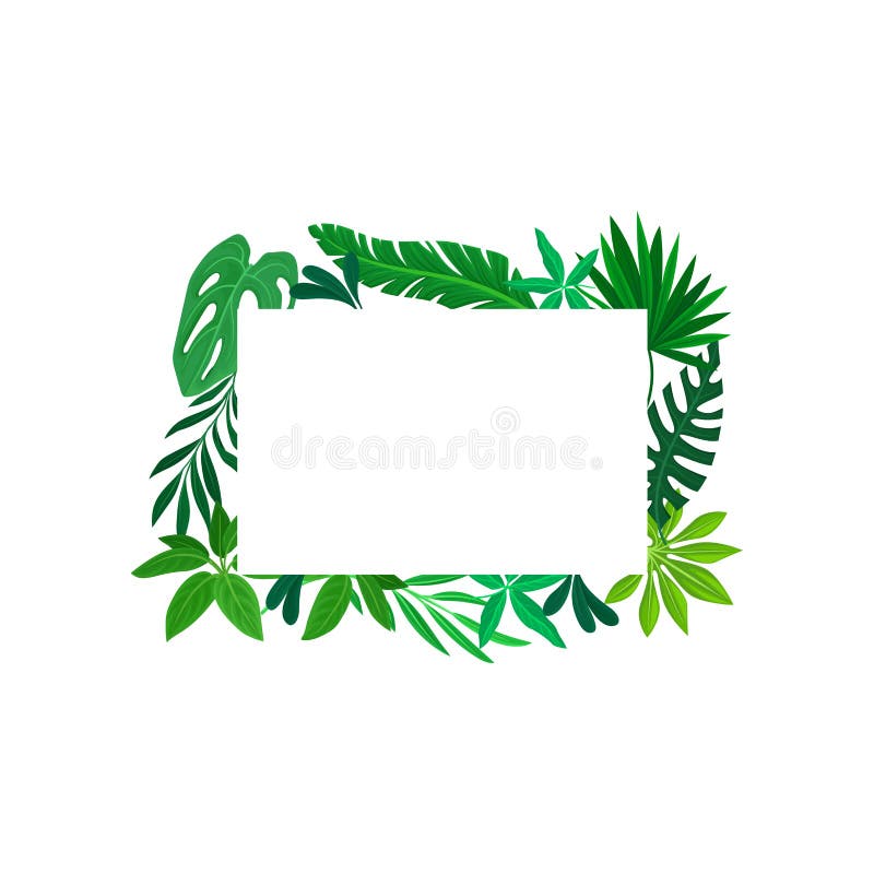 Rectangular Frame of Leaves. Vector Illustration on White Background ...