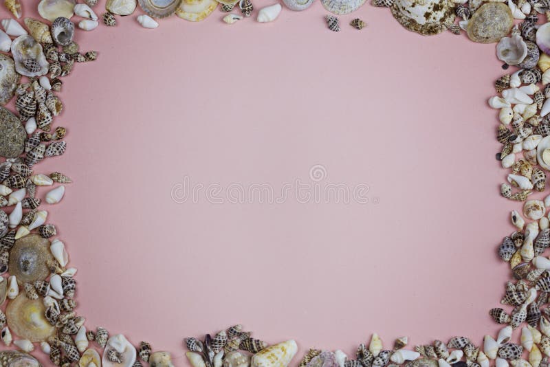 The Rectangular Frame is Lined with Seashells on a Pink Background ...