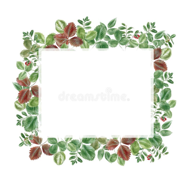 Rectangular Frame Made of Green Leaves Decoration Stock Illustration ...