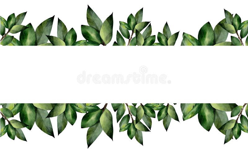 Rectangular Frame Made of Green Watercolor Tree Leaves. Hand Drawn ...