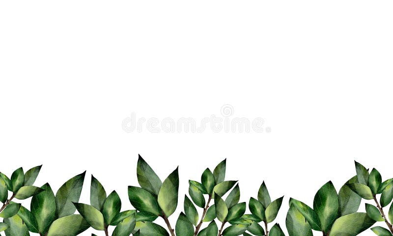 Rectangular Frame Made of Green Watercolor Tree Leaves. Hand Drawn ...