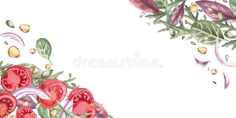 Rectangular Frame with Tomato Slices and Greenery. Isolated Watercolor ...