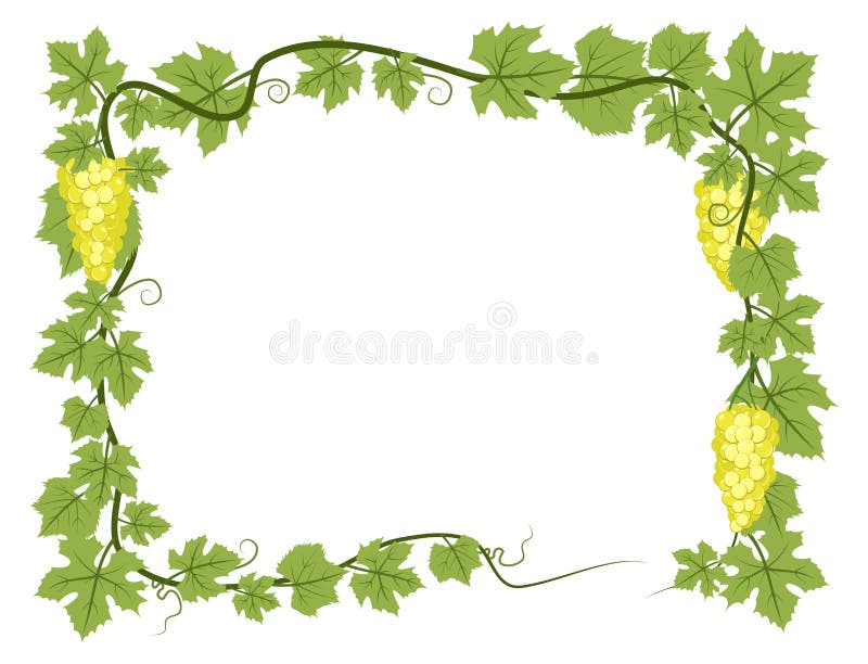 Vine Frame Rectangular Stock Illustrations – 126 Vine Frame Rectangular ...