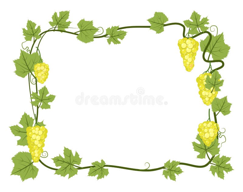 Rectangular Frame. Vine with Foliage and Bunches of Grapes. Viticulture ...